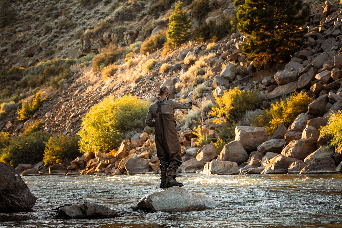 Products – Rod Steward